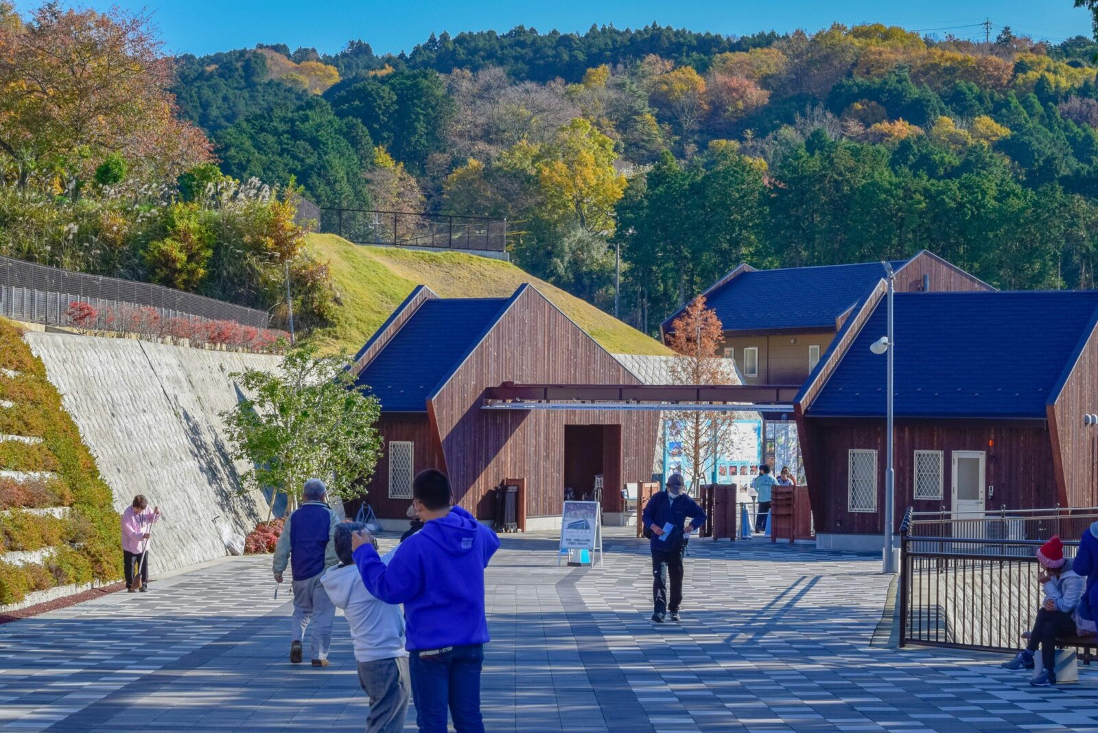 Japanese Sadako Watanabe (1906-2017) Validated as Supercentenarian - LongeviQuest